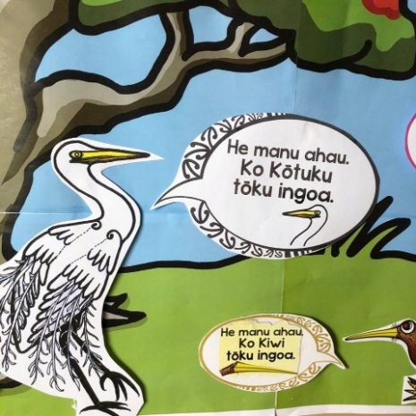 Our New Zealand Native Birds Kōrero Māori - The Te Reo Māori Classroom