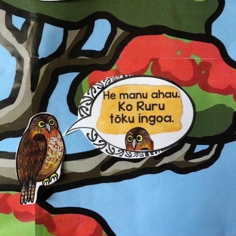 Our New Zealand Native Birds Kōrero Māori - The Te Reo Māori Classroom