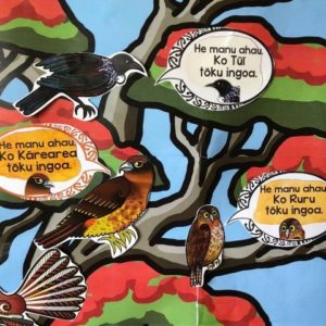 Our New Zealand Native Birds Kōrero Māori - The Te Reo Māori Classroom