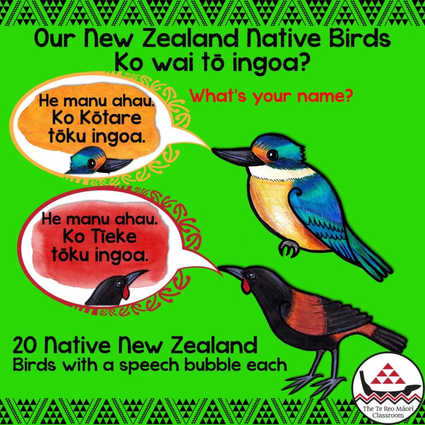 Our New Zealand Native Birds-Ko wai tō ingoa? - The Te Reo Māori Classroom