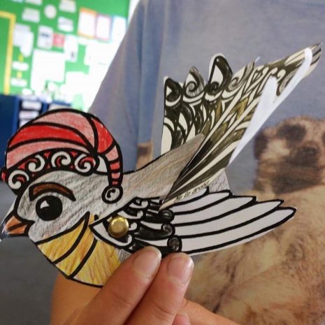 New Zealand Native Birds Christmas Decorations - The Te Reo Māori Classroom