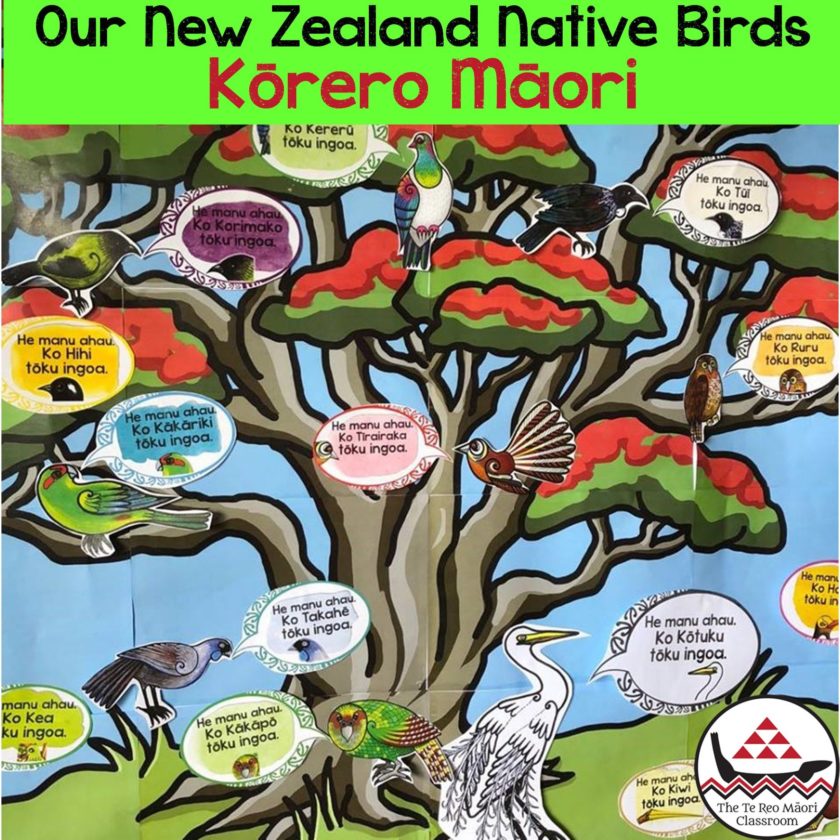 Our New Zealand Native Birds Kōrero Māori - The Te Reo Māori Classroom
