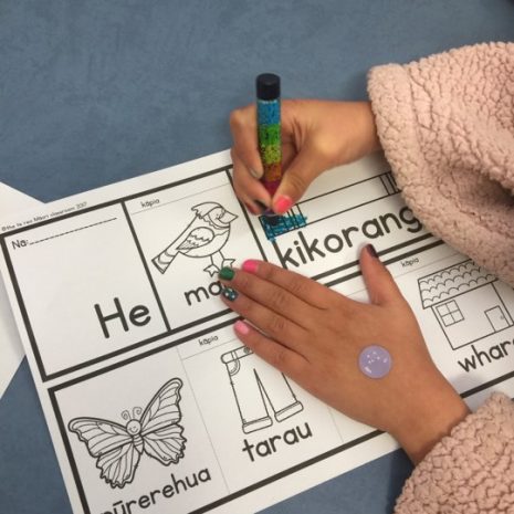 Te Reo at Home-Colour Flip Books - The Te Reo Māori Classroom