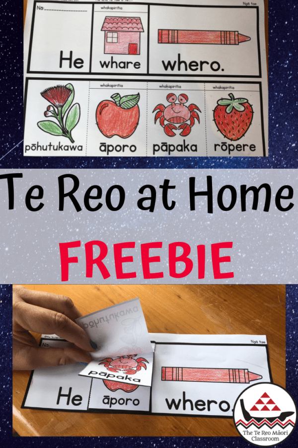 Te Reo Māori at Home - The Te Reo Māori Classroom
