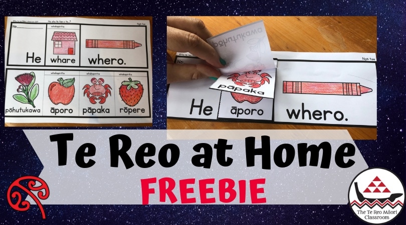 Te Reo Māori at Home - The Te Reo Māori Classroom