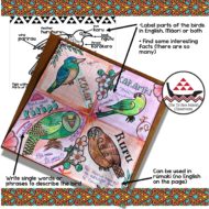 NZ Native Birds Concertina Book * He Pukapuka Whētuitui* - The Te Reo ...