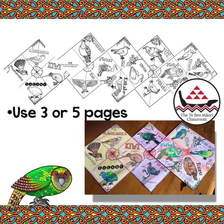 NZ Native Birds Concertina Book * He Pukapuka Whētuitui* - The Te Reo ...