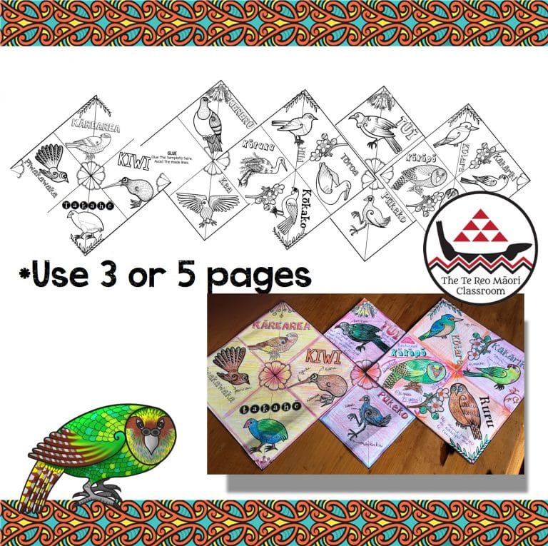 NZ Native Birds Concertina Book * He Pukapuka Whētuitui* - The Te Reo ...
