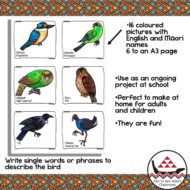 NZ Native Birds Concertina Book * He Pukapuka Whētuitui* - The Te Reo ...