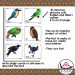 NZ Native Birds Concertina Book * He Pukapuka Whētuitui* - The Te Reo ...