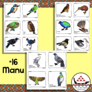 NZ Native Birds Concertina Book * He Pukapuka Whētuitui* - The Te Reo ...