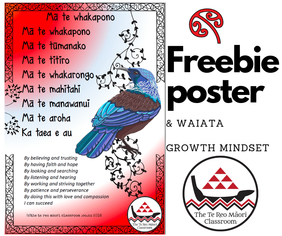 Te Reo Māori Workshops for Kaiako June 2019 - The Te Reo Māori Classroom