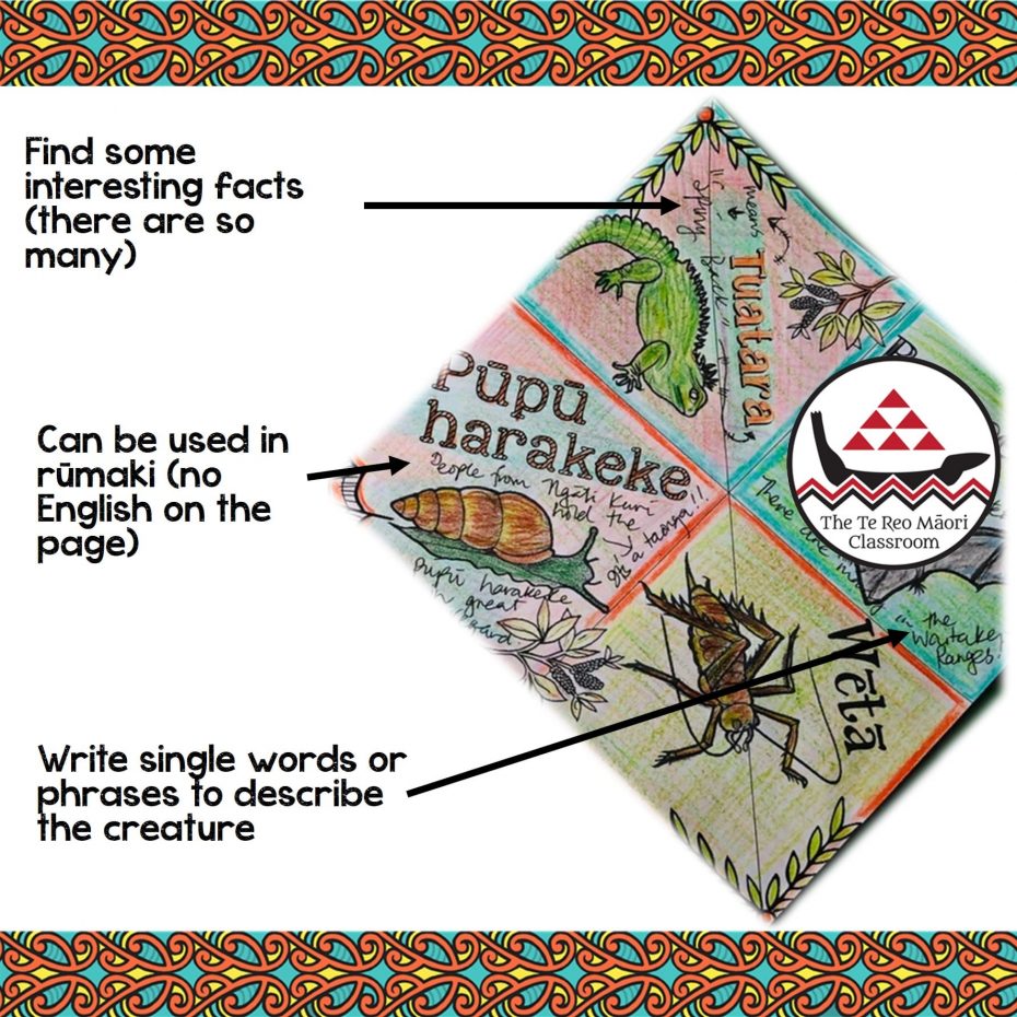 NZ Forest Creatures Concertina Book * He Pukapuka Whētuitui* - The Te ...