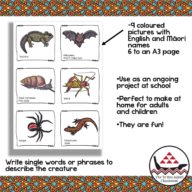 NZ Forest Creatures Concertina Book * He Pukapuka Whētuitui* - The Te ...