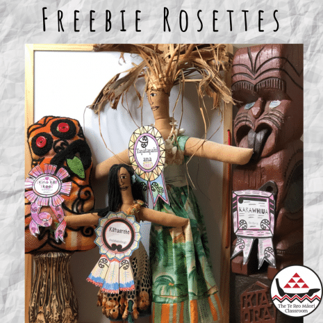 Praise Phrases in Te Reo FREEBIE - The Te Reo Māori Classroom
