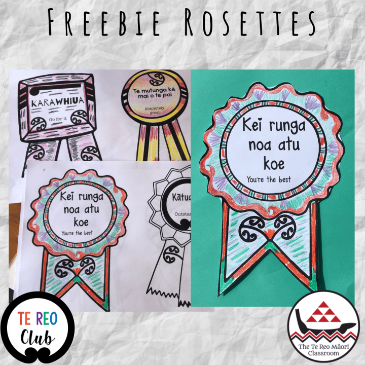 Praise Phrases in Te Reo FREEBIE - The Te Reo Māori Classroom