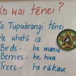 Matariki Magnets-Te Iwa o Matariki (Sold out) - The Te Reo Māori Classroom